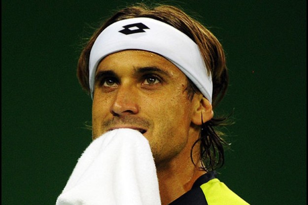 Picture of DAVID FERRER