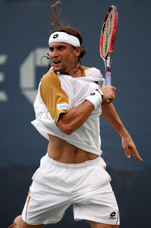 DAVID FERRER picture