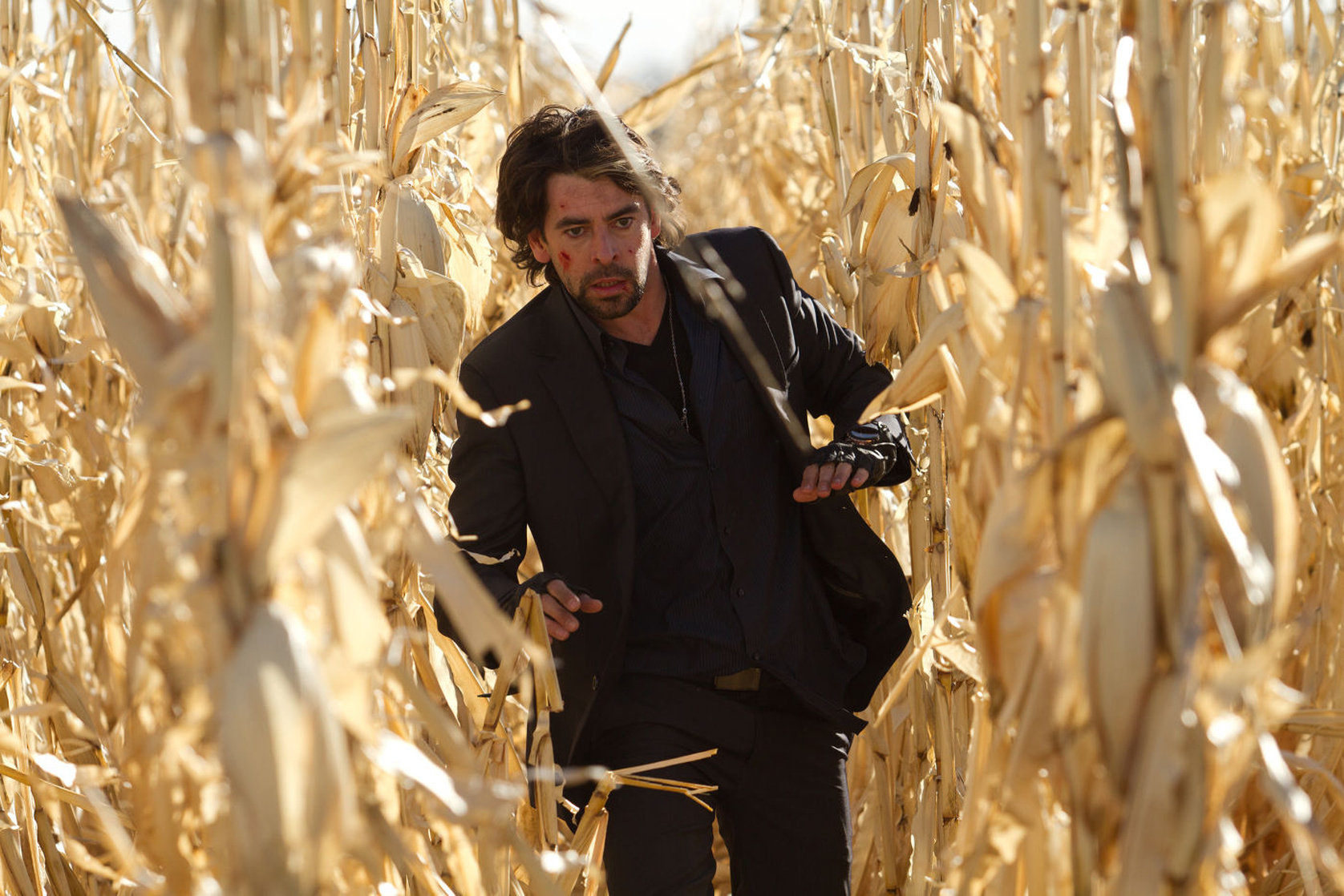 Picture of The Last Stand