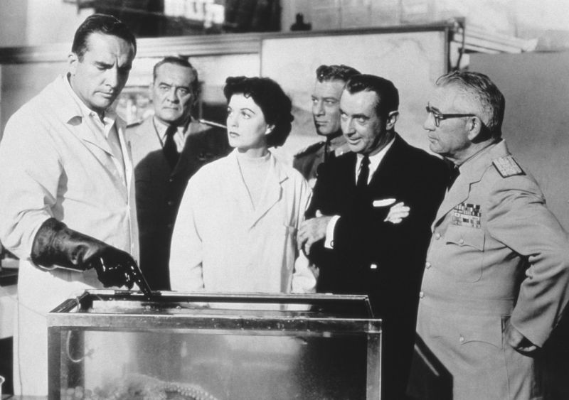 Picture of Donald Curtis