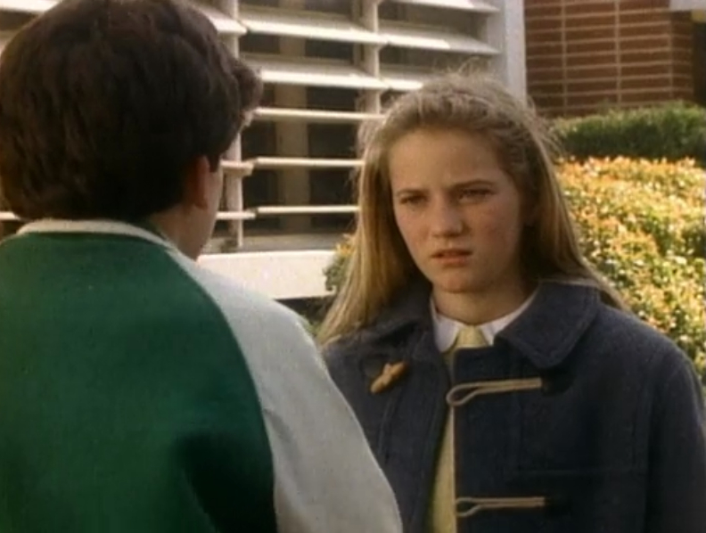 Picture of The Wonder Years