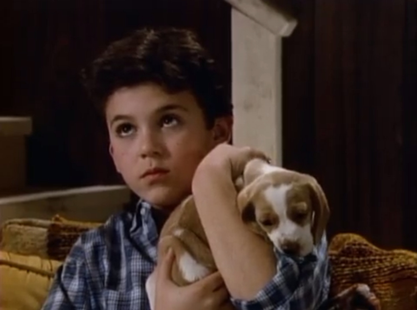 Picture of The Wonder Years