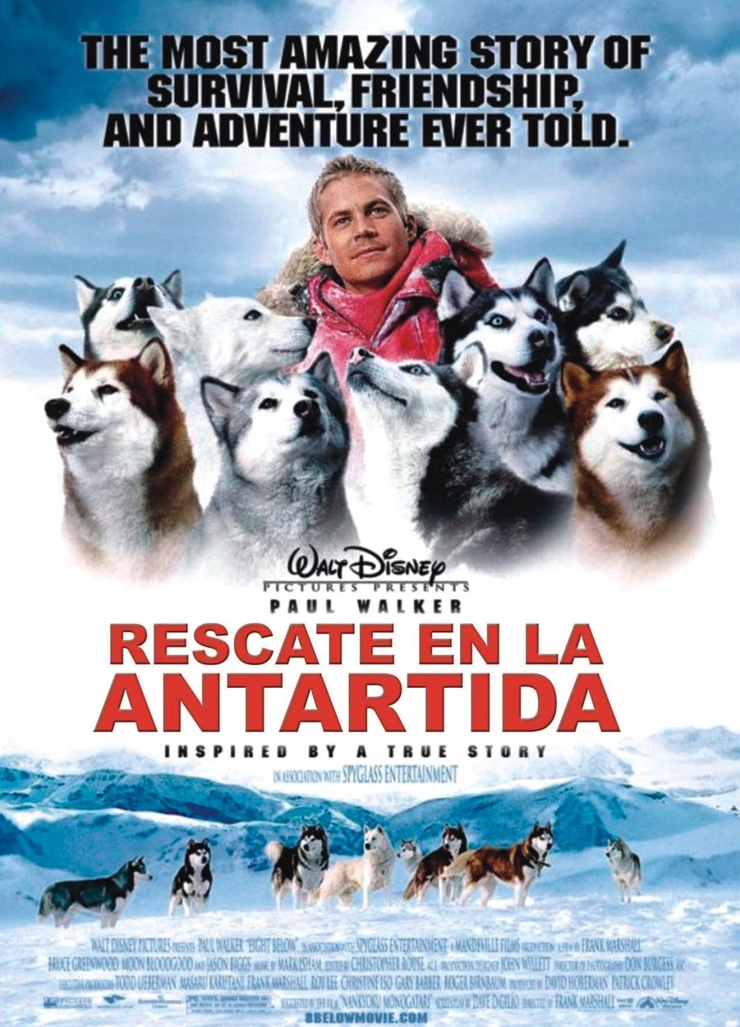 Picture of Eight Below