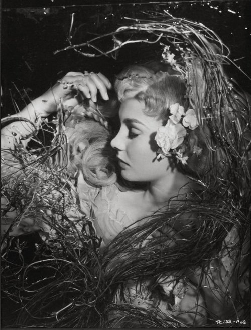 Picture of Jean Simmons