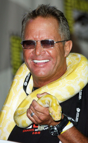 Picture of David R. Ellis