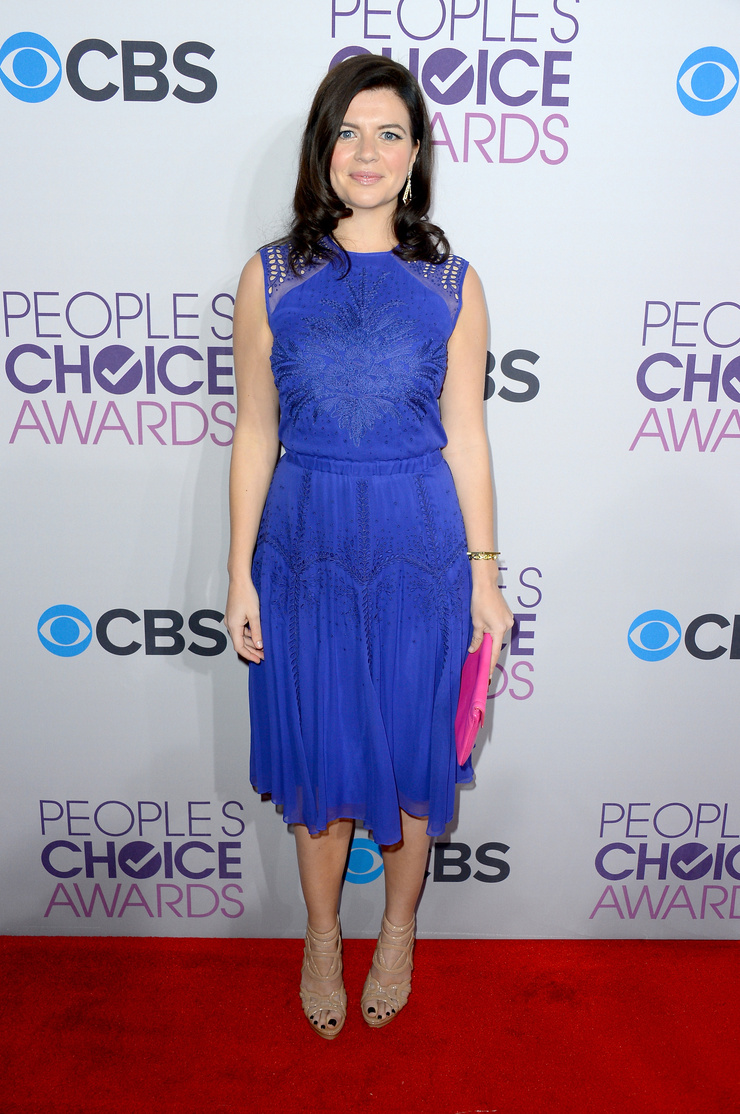 Picture of Casey Wilson