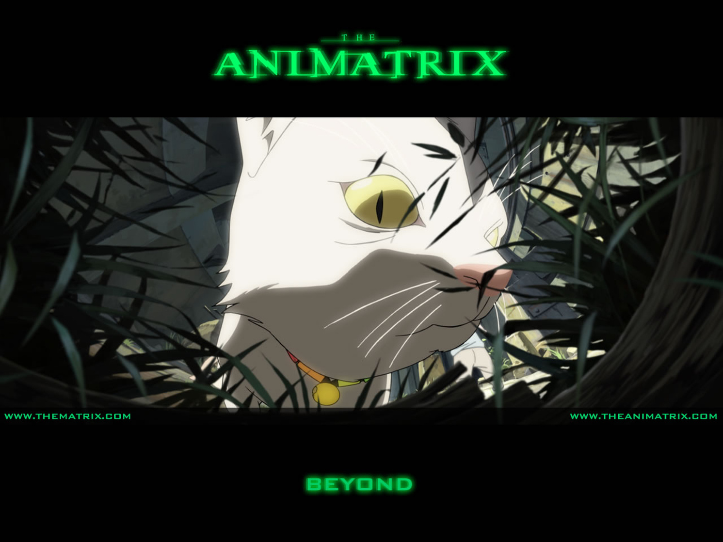 The Animatrix: Beyond picture