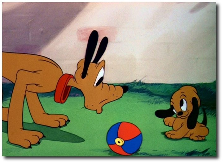 Pluto Junior picture