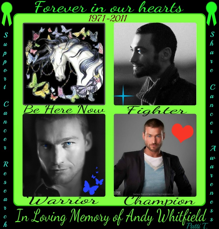 In Loving Memory of Andy Whitfield