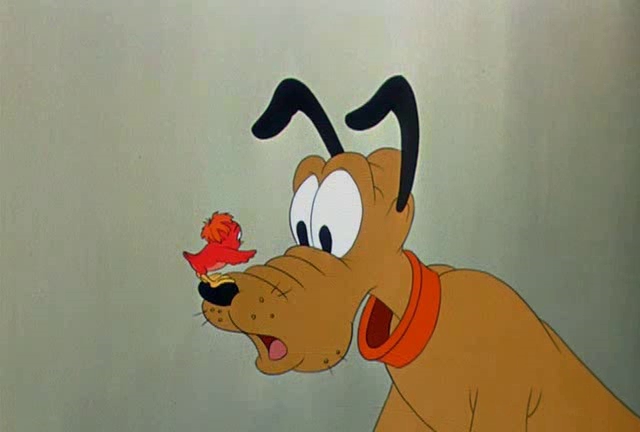 Picture of Pluto's Fledgling