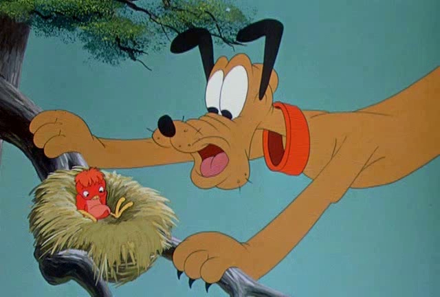 Pluto's Fledgling image