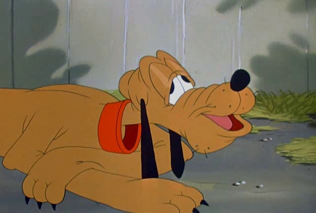 Picture of Pluto's Fledgling