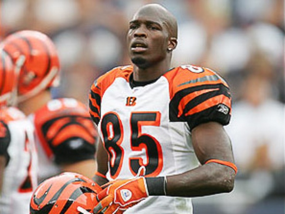 Chad Johnson picture