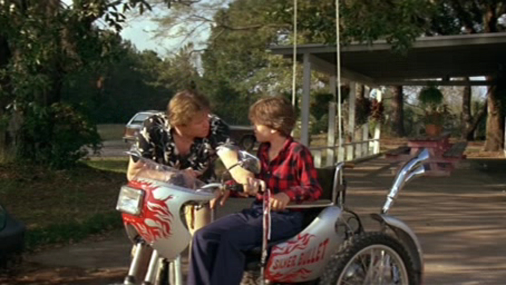 Picture of Silver Bullet