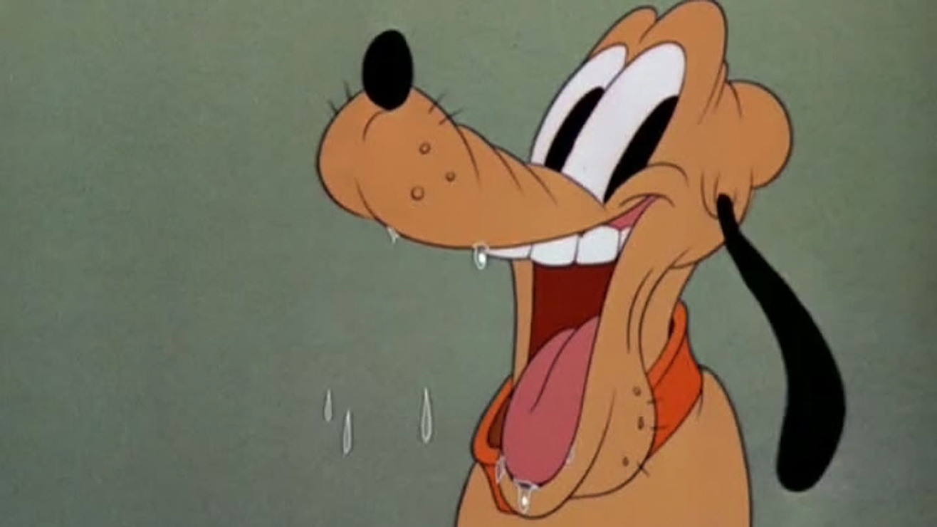 Picture of Pantry Pirate