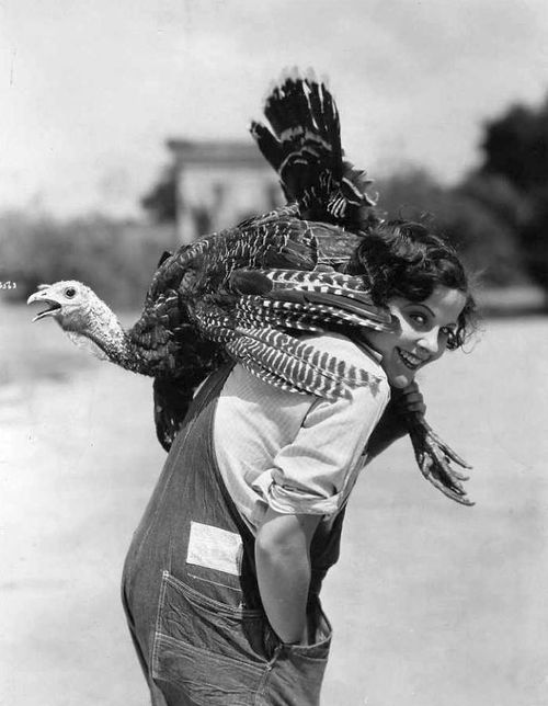 Picture of Barbara Kent