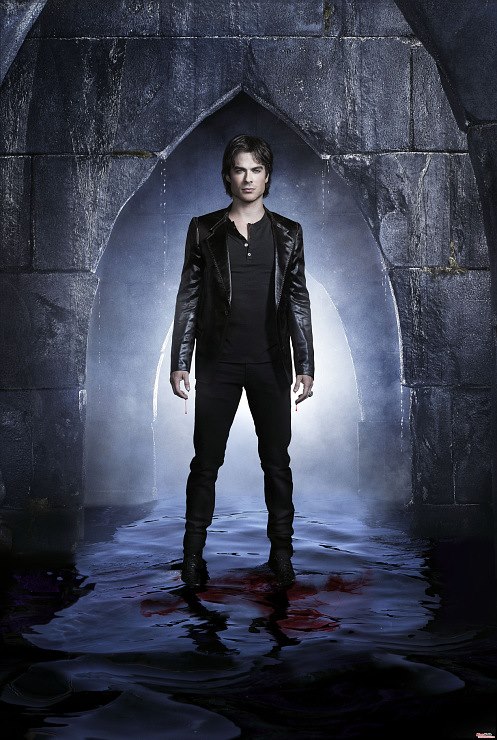 Picture of The Vampire Diaries