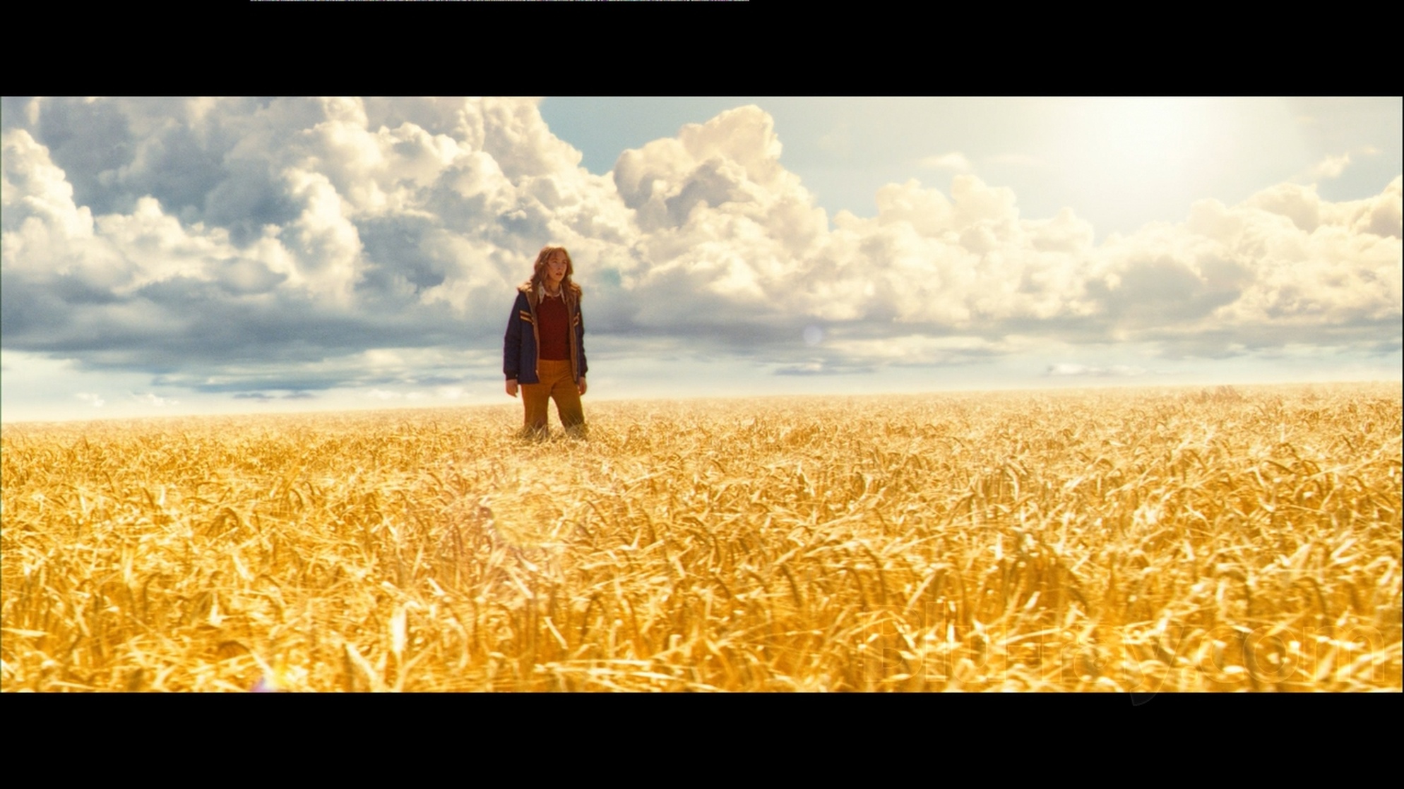 Picture of The Lovely Bones