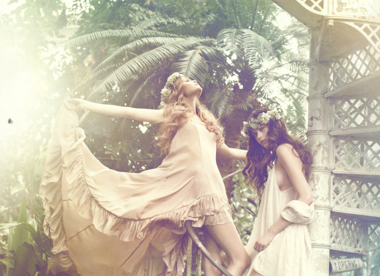 Picture of Julie Rode