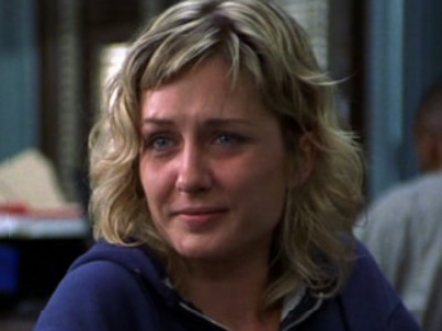 Picture of Amy Carlson