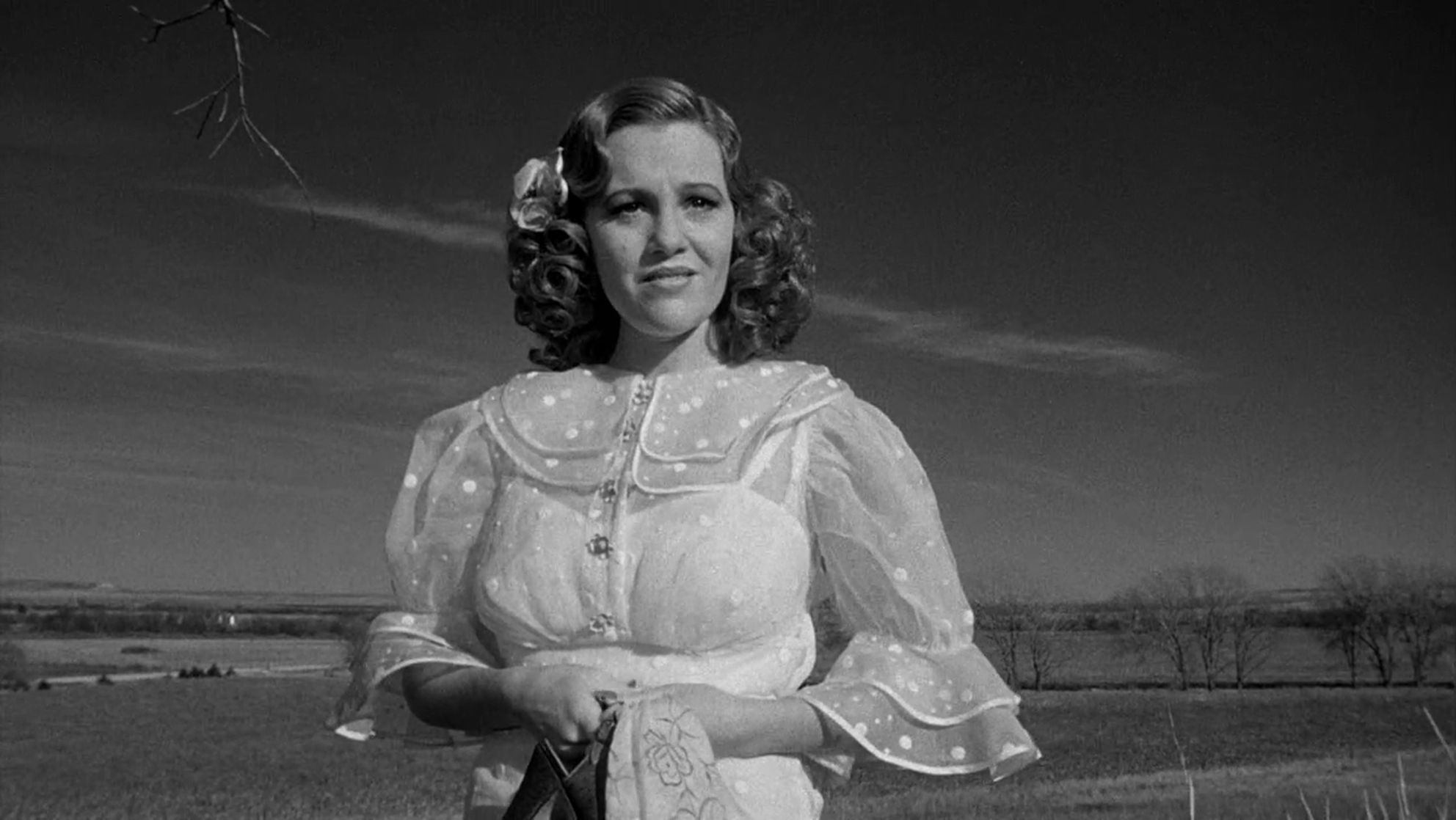 Picture of Paper Moon