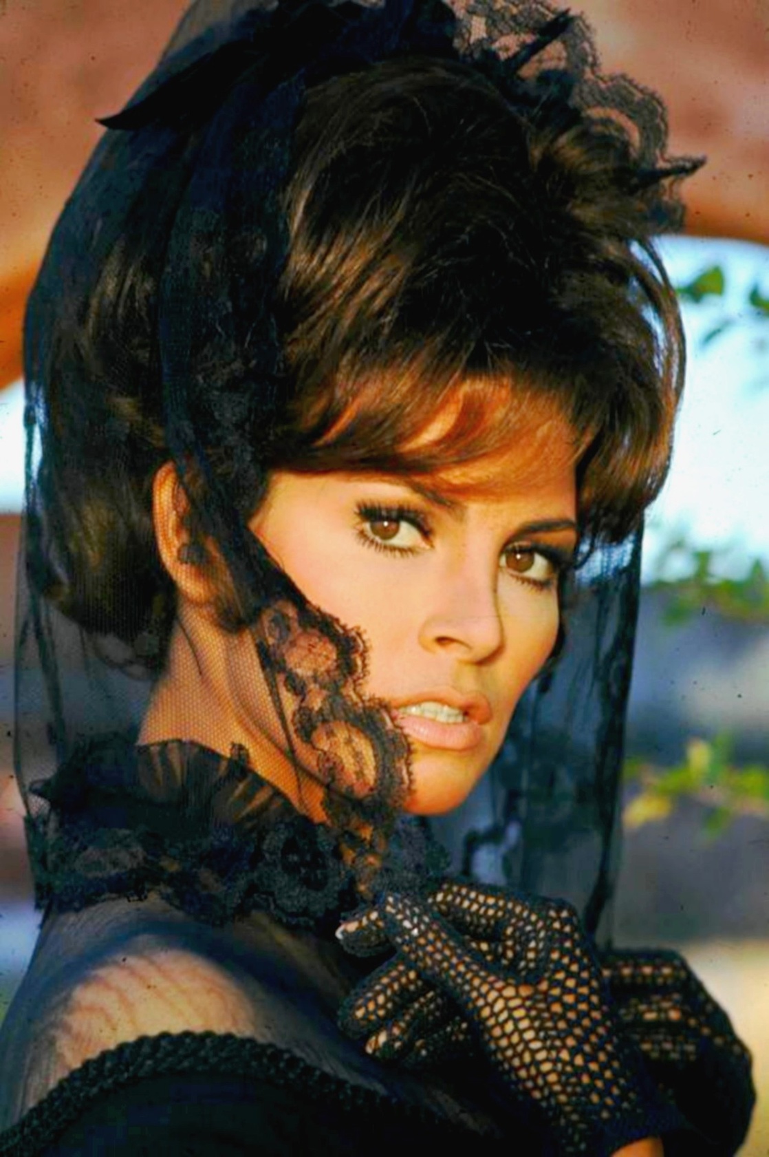 Picture of Raquel Welch