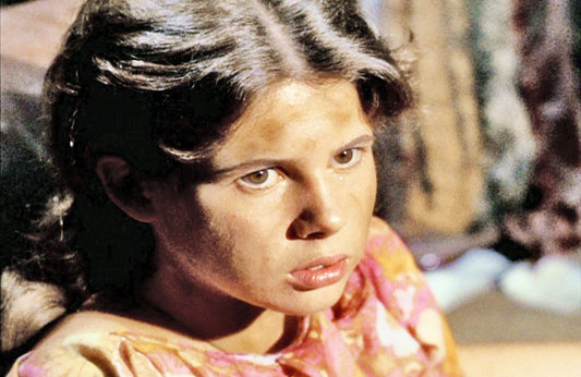 Picture of Kim Darby
