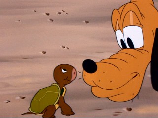 Picture of Pluto's Surprise Package