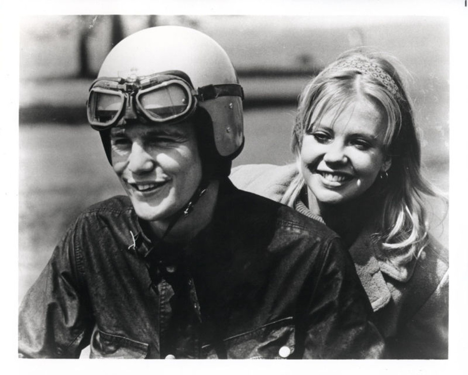 Picture of The Family Way (1966)