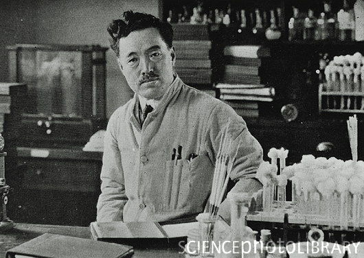 Image of Hideyo Noguchi