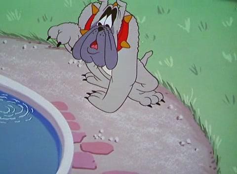 Picture of Pluto's Heart Throb