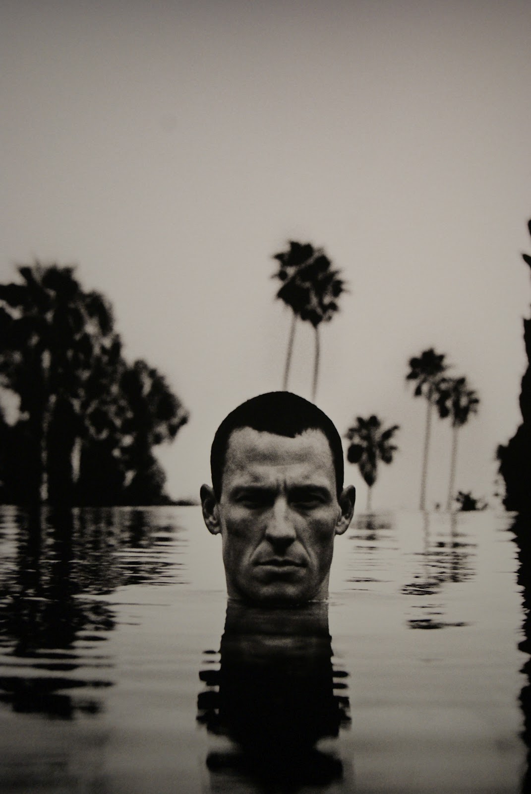 Lance Armstrong image