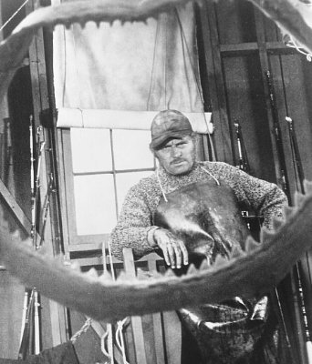 Picture of Jaws