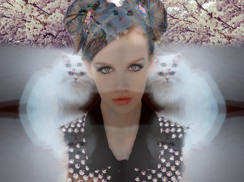 Picture of Kiki Kannibal