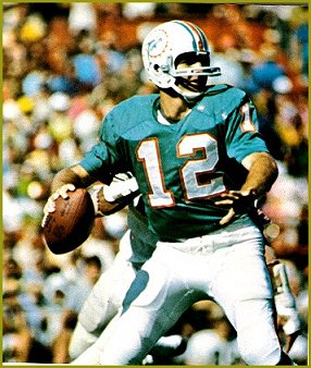 Picture of Bob Griese