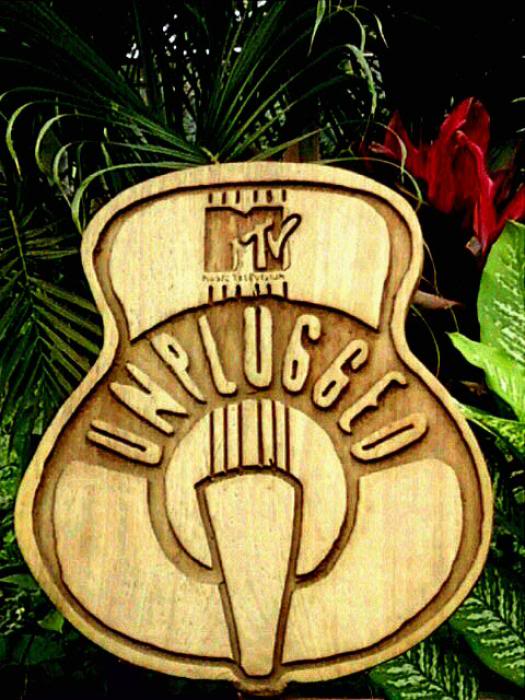 Picture of Unplugged