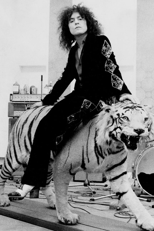 Picture of Marc Bolan