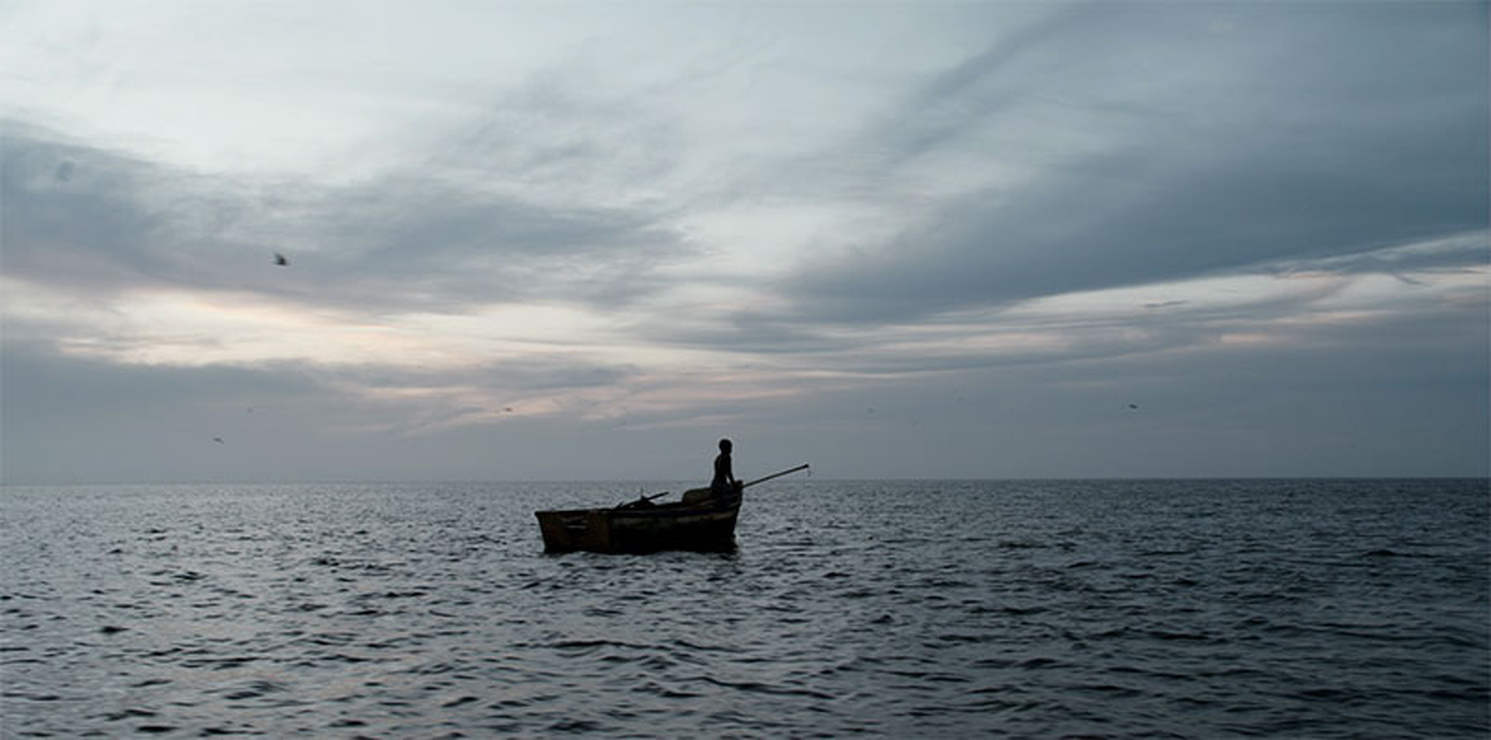 Picture of Asad (2012)