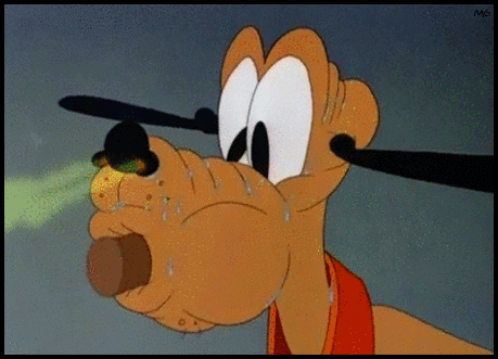 Picture of First Aiders