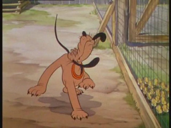 Picture of Mother Pluto