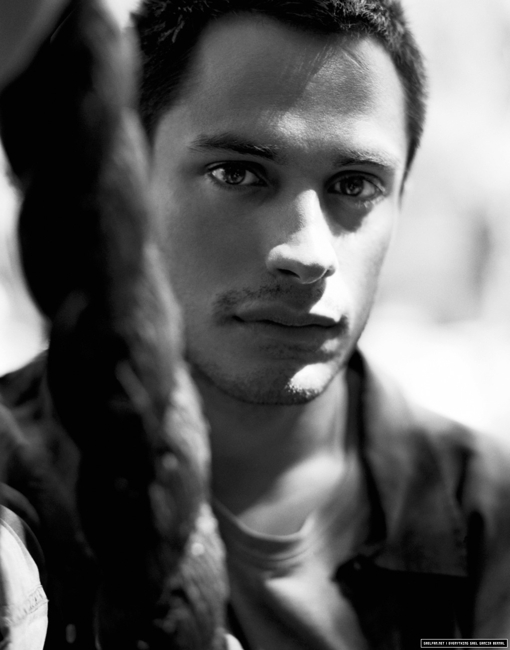 Picture of Gael García Bernal