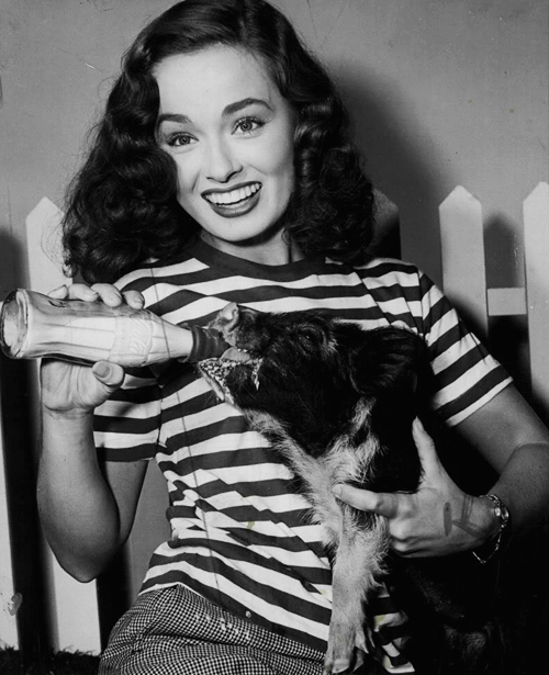 Picture of Ann Blyth