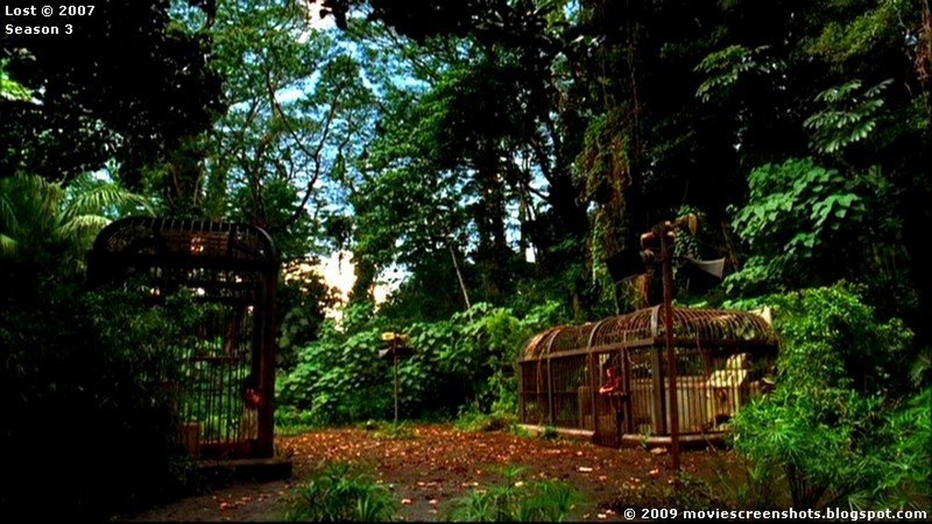 Picture of Lost