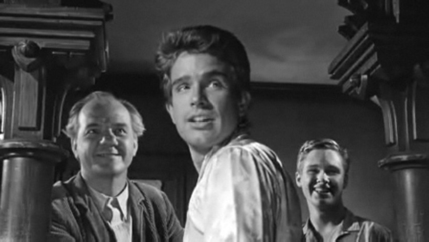 Picture of All Fall Down