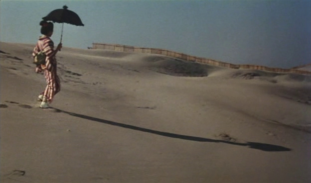 Picture of Grass Labyrinth (1979)