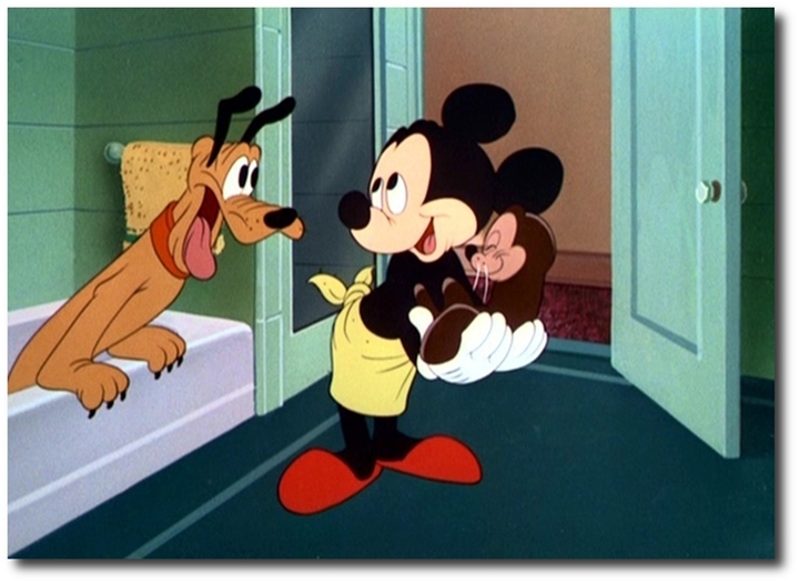 Picture of Mickey and the Seal