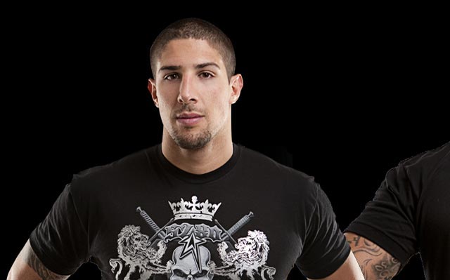 Brendan Schaub image