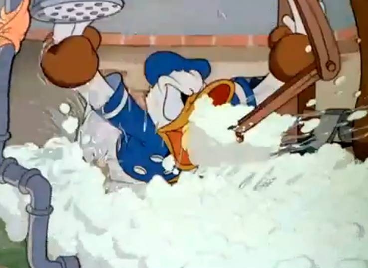 Picture of Donald's Dog Laundry