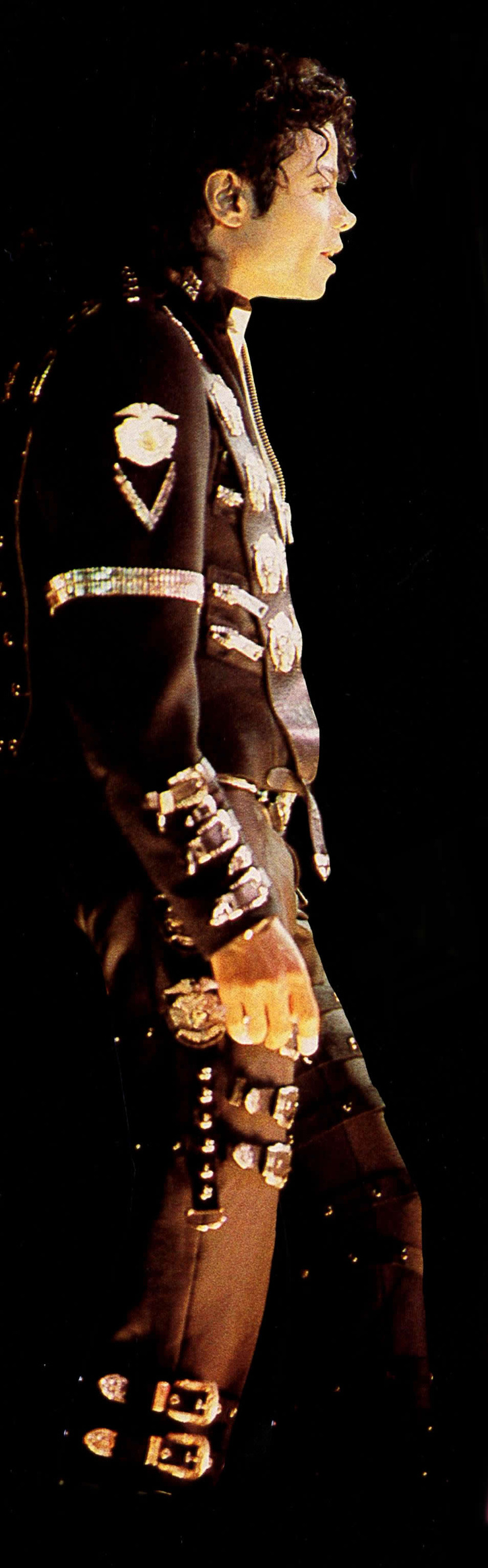 Picture of Michael Jackson