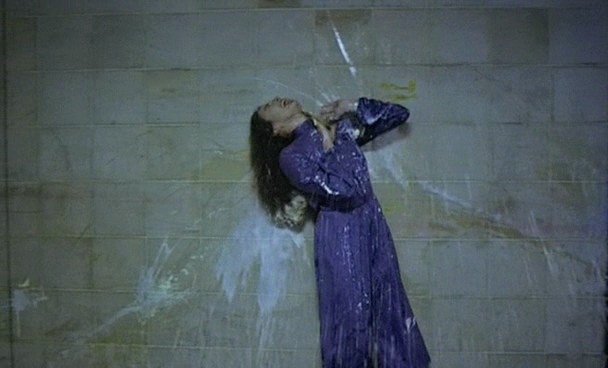 Picture of Possession (1981)